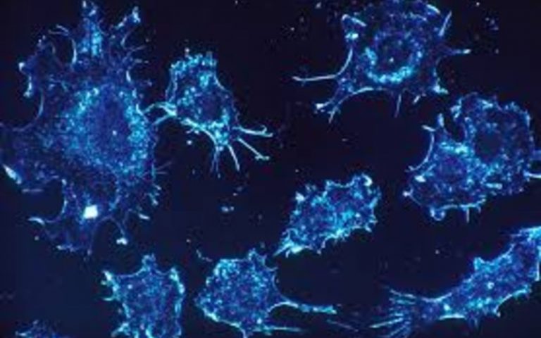¿Qué es el cáncer y cómo se desarrolla? - CuídateCV